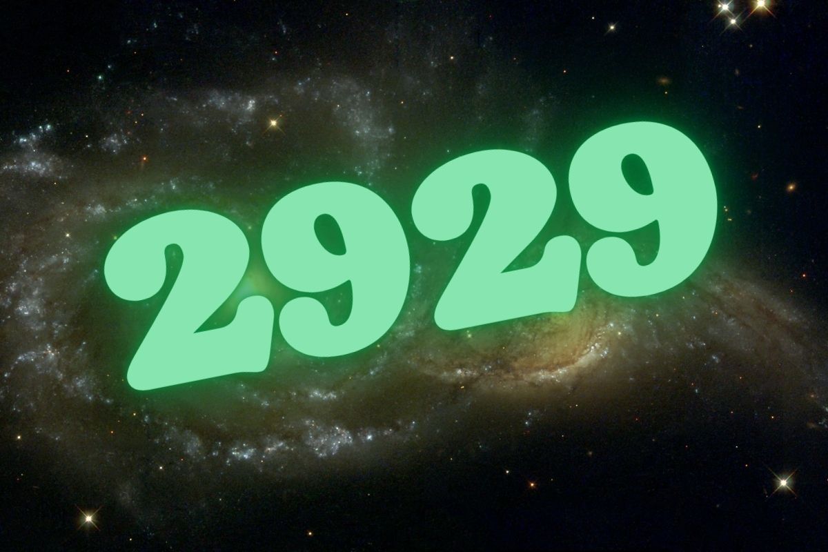 2929 Angel Number: The Perfect Soul Plan - Decodevale