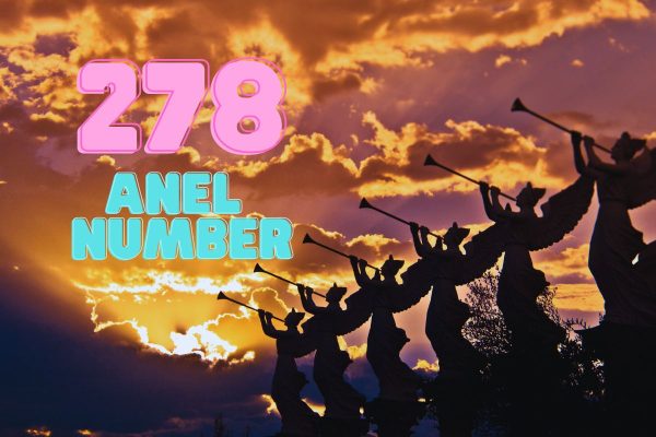 278 Angel Number Meaning: How It Affects Love, Career, and More- Decodevale