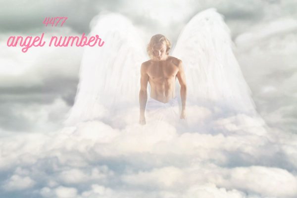 4477 Angel Number Meaning: Spiritual Insights and Life Path Guidance ...