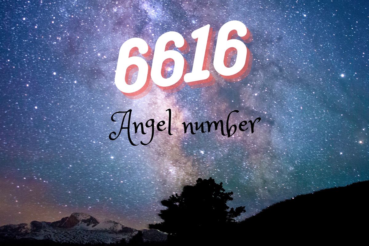 6616 Angel Number Meaning: A Journey to Love, Purpose, and Celestial ...