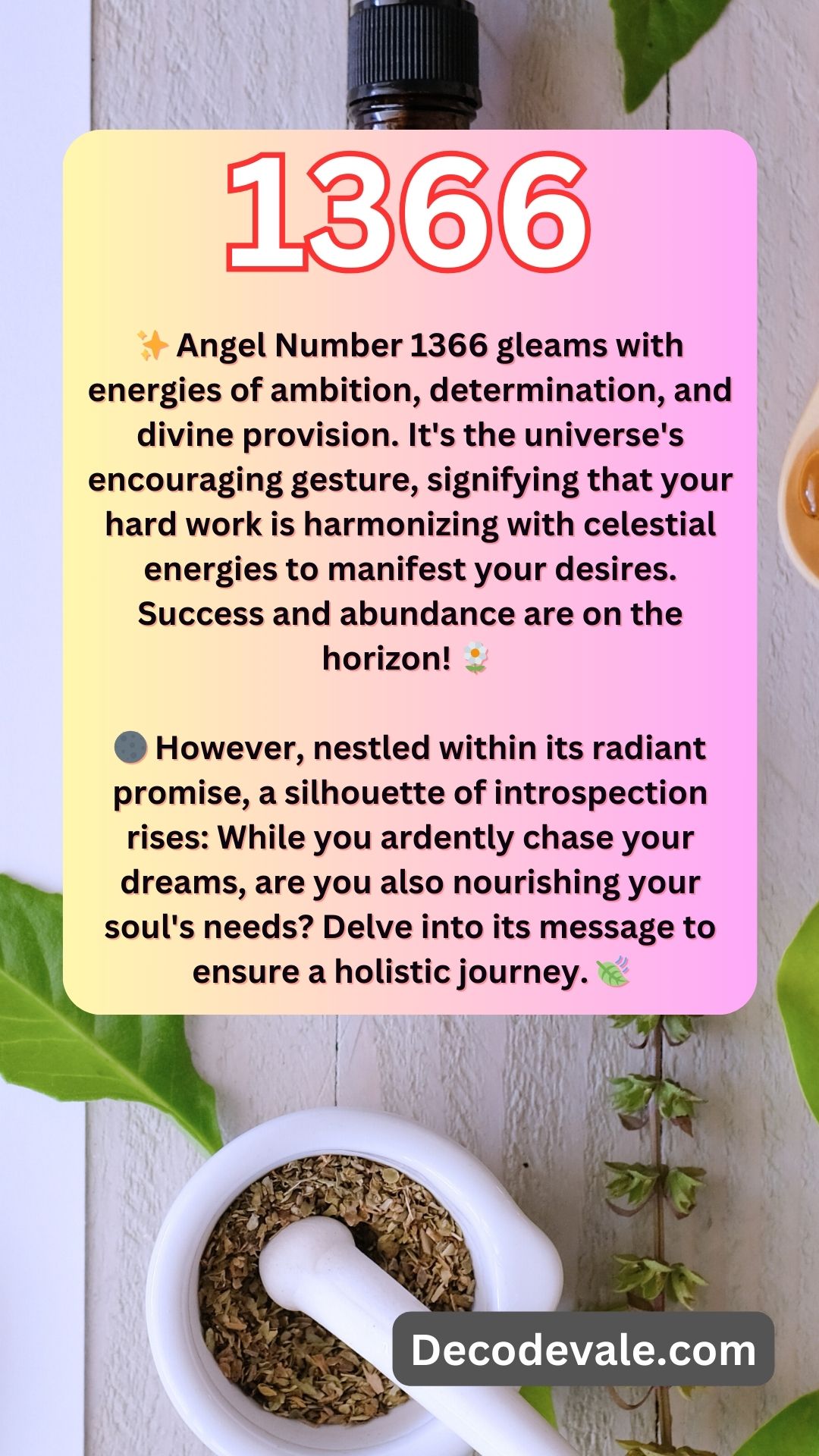 1366 Angel Number Meaning: How It Influences Love, Career and Personal ...